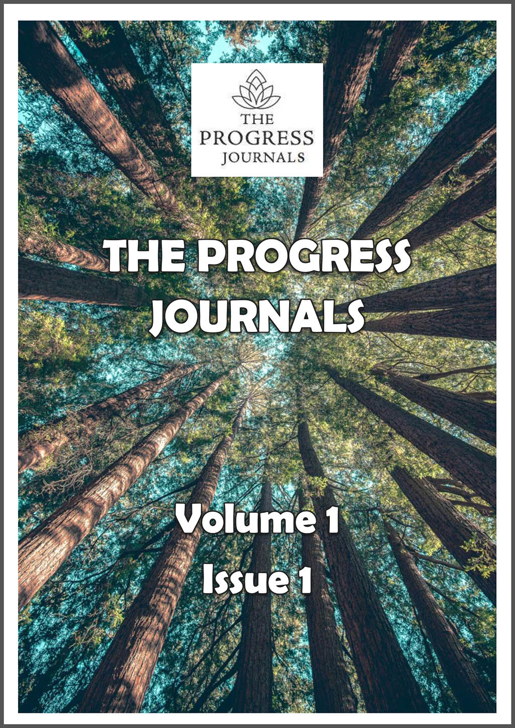 The Progress Journals
